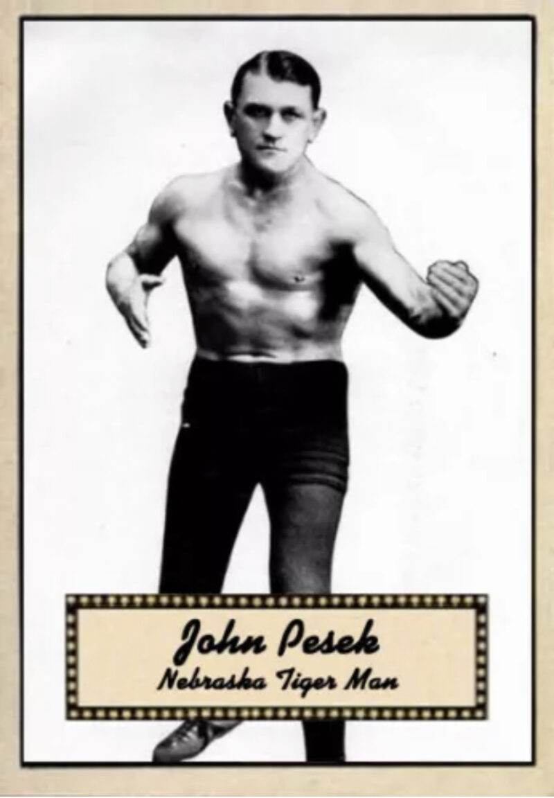 LJACARDS LEGENDS OF THE RING SERIES 4 2021 – JOHN PESEK | CRAZY CARD ...