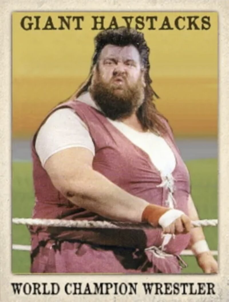 LJACARDS WORLD CHAMPION WRESTLERS SERIES 2 2023 – GIANT HAYSTACKS ...